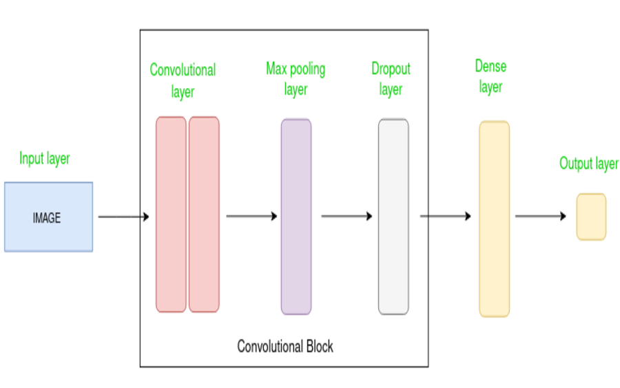 Convolutional Neural Networks là gì? Khám phá cấu trúc của CNN